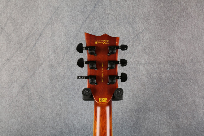 ESP LTD EC-256 Distressed Aged Vintage Gold 2nd Hand | Rich Tone Music
