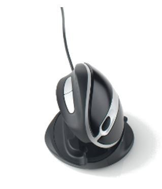 ergonomic oyster mouse, oyster mouse, wireless mouse