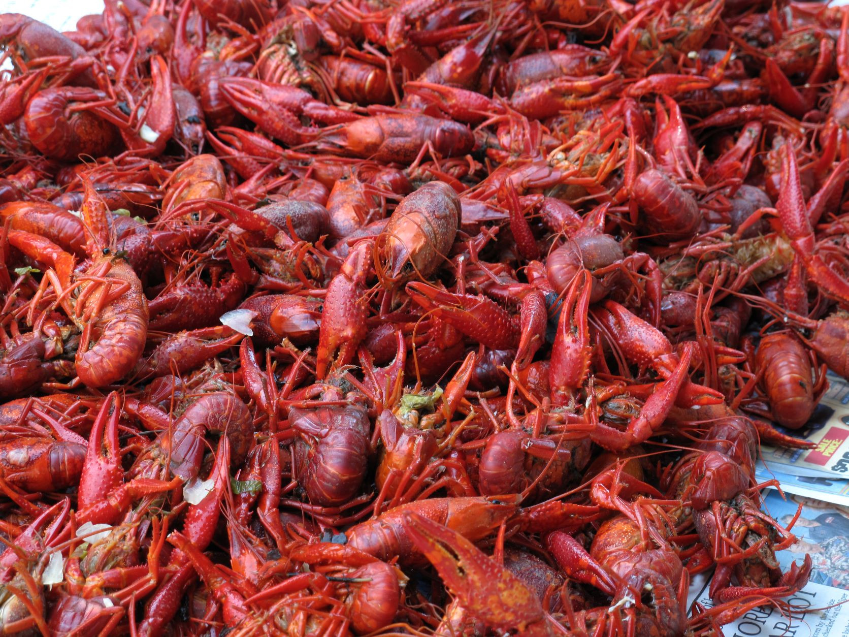 Boiled Crawfish 15lb Already Cooked | Creole.net