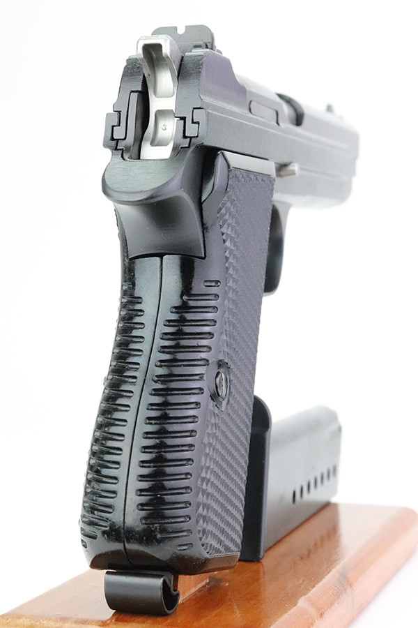 ANIB Swiss Sig P49