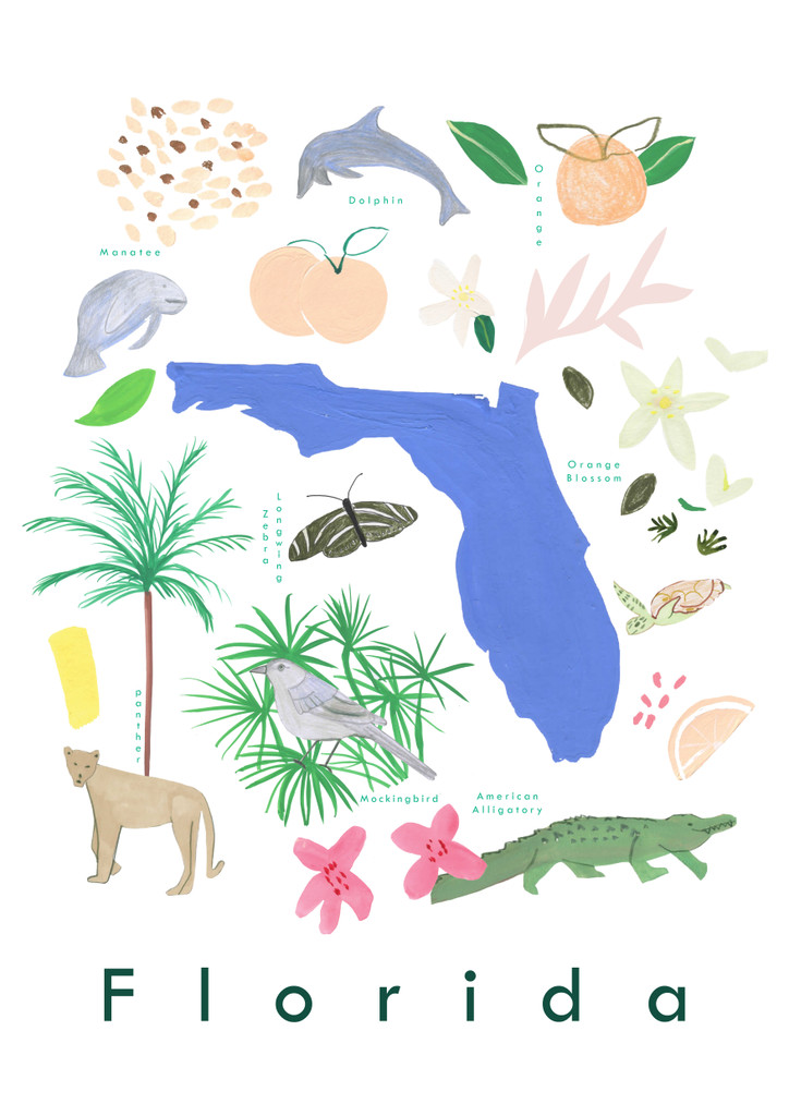 Illustrated hand drawn Florida State Symbols art print by artist Holly ...