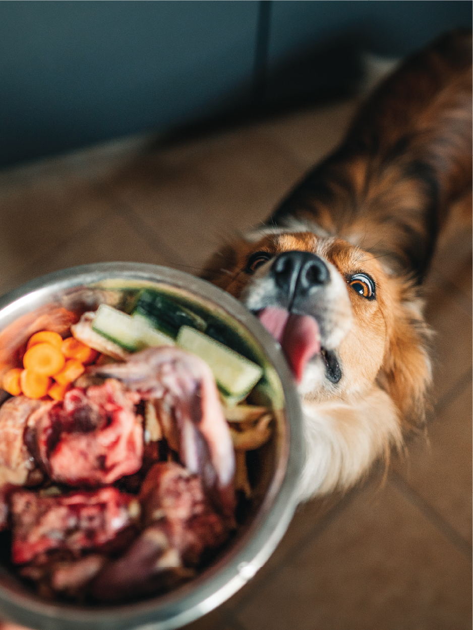 RAW - Pet Food Recipe for Dogs and Cats (Makes 20 - 25 lbs.) - LEM ...