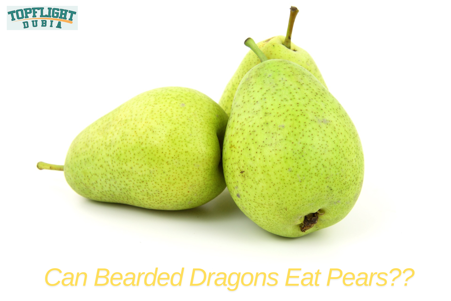 Can Bearded Dragons Eat Pears? A Comprehensive Guide - TopFlight Dubia