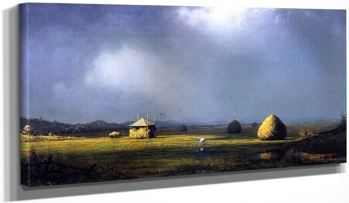 Martin Johnson Heade - Prints and Oil Painting Reproductions