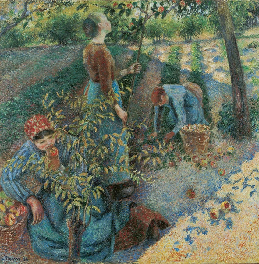 Camille Pissarro - Prints and Oil Painting Reproductions