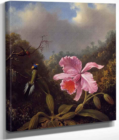 Fighting Hummingbirds With Pink Orchid By Martin Johnson Heade ...