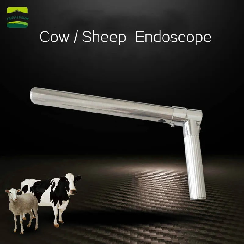 Sheep Cattle Endoscope Livestock Goat Endoscope Examination of ...