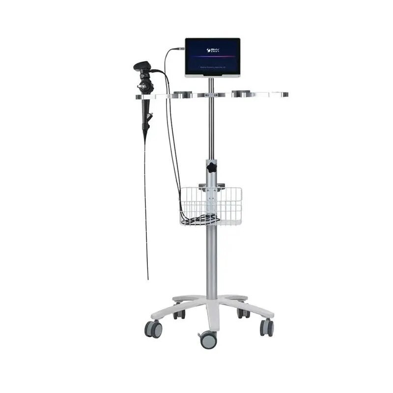 Veterinary Portable Video Bronchoscope Equipment Medical no Fiber ...