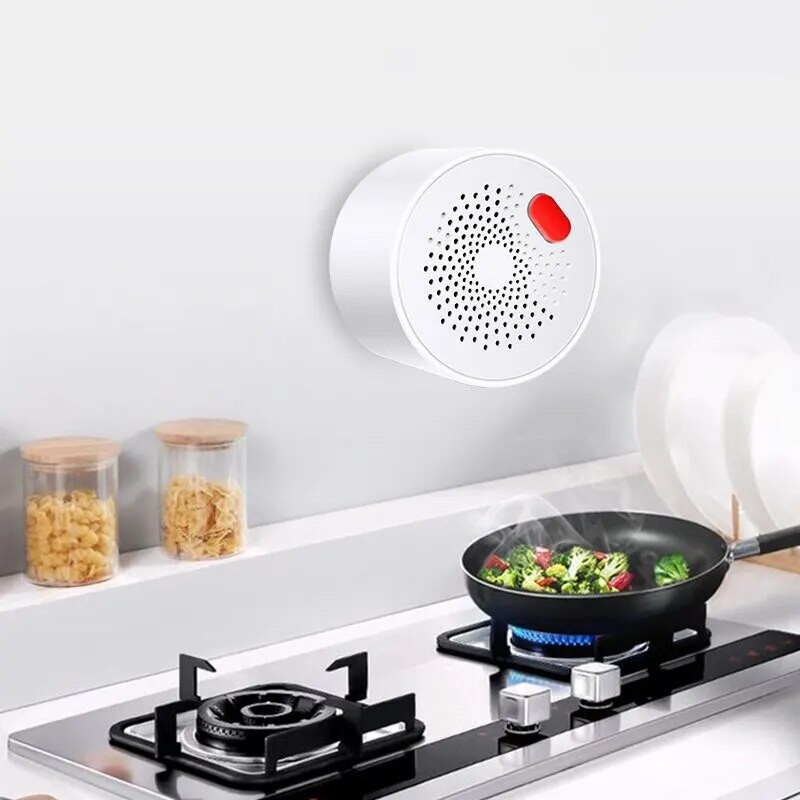 Tuya Smart Home Wifi Natural Gas Sensor Combustible Coal Gas LPG Gas ...