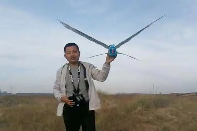 New Large RC Biomimetic Bird Flapping Wing Aircraft Flying Dragon Model ...