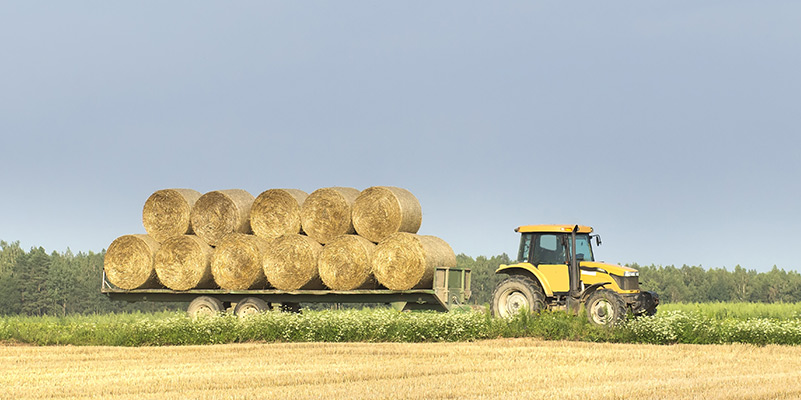 Quick Thinking: How a Kansas Farmer Became an Expert Entrepreneur - KEY ...