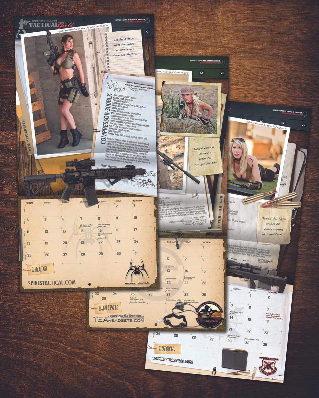 2013 Tactical Girls Gun Calendar - Tactical Girls