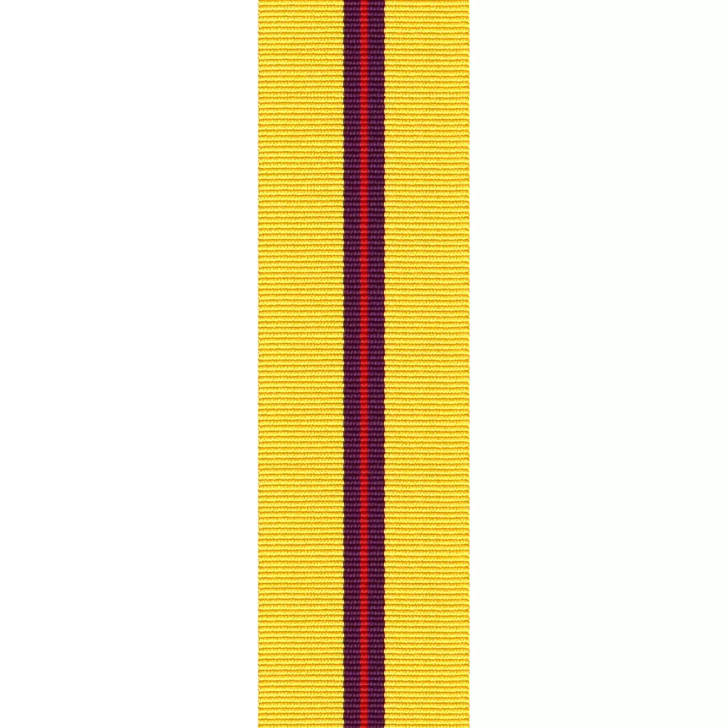 Iraq Medal - Full Size, Ribbon Bar, Miniature, Medal Frame, Magnetic ...