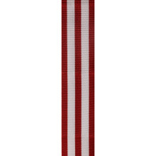 Full Size VIC Department of Corrective Services Meritorious Service ...