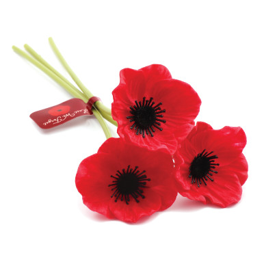 Set of Three Red Long Stem Poppies - Brandz