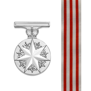 Distinguished Service Medal 1991 (DSM) - Army Shop
