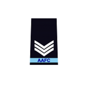AAFC Cadet Sergeant (CSGT) Service Dress Rank Slide Pair - Military Shop