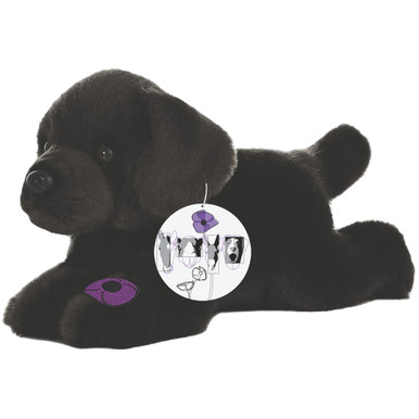 Purple Poppy - Dog - Brandz