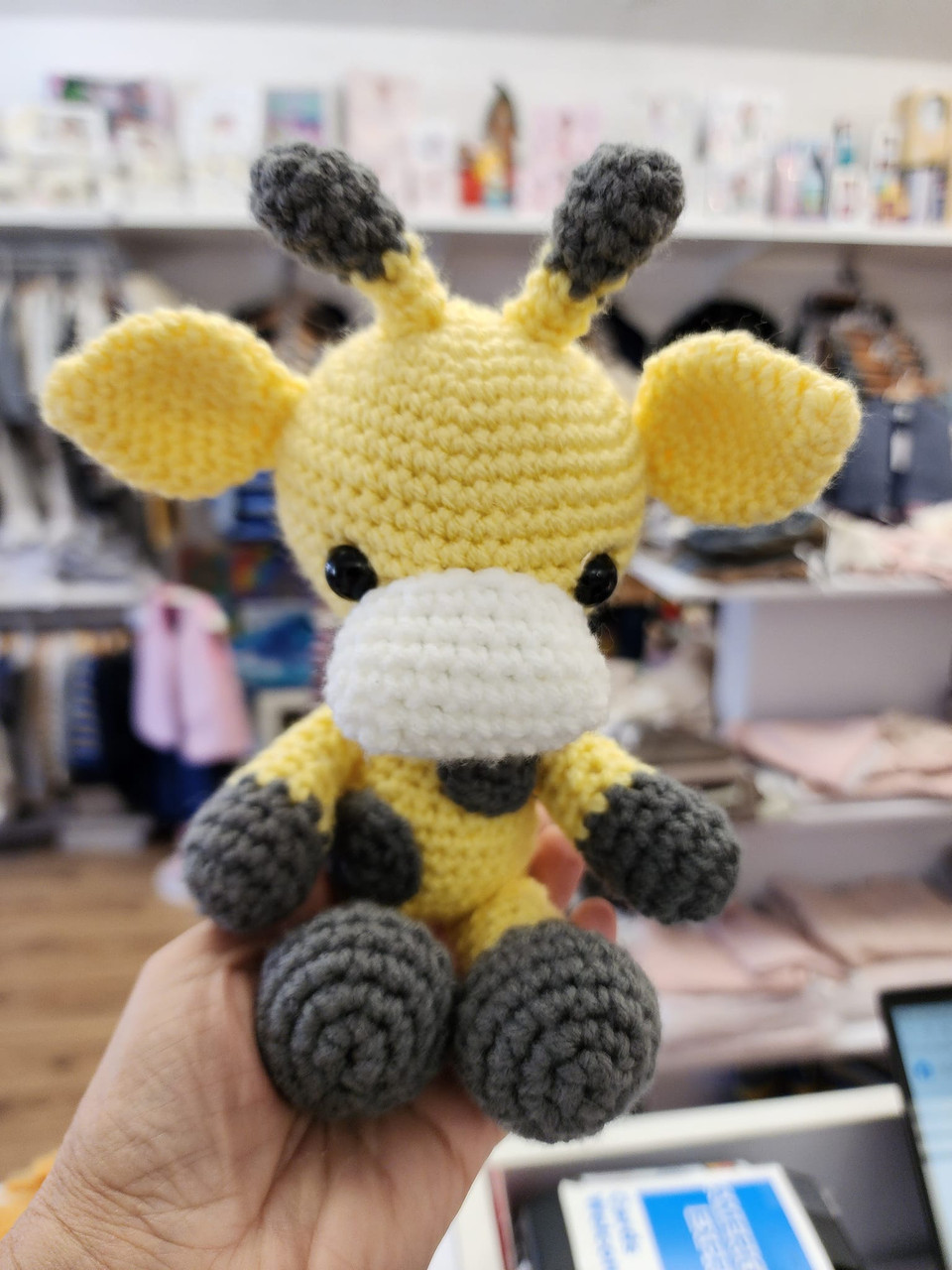 Stef's Crazy Crochet Animals - B'town Kids
