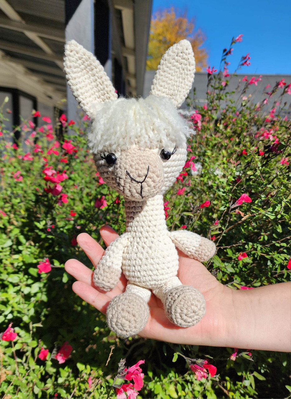 Stef's Crazy Crochet Animals - B'town Kids