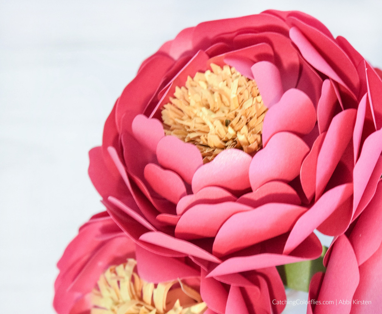 Full Bloom Peony Template - Catching Colorflies