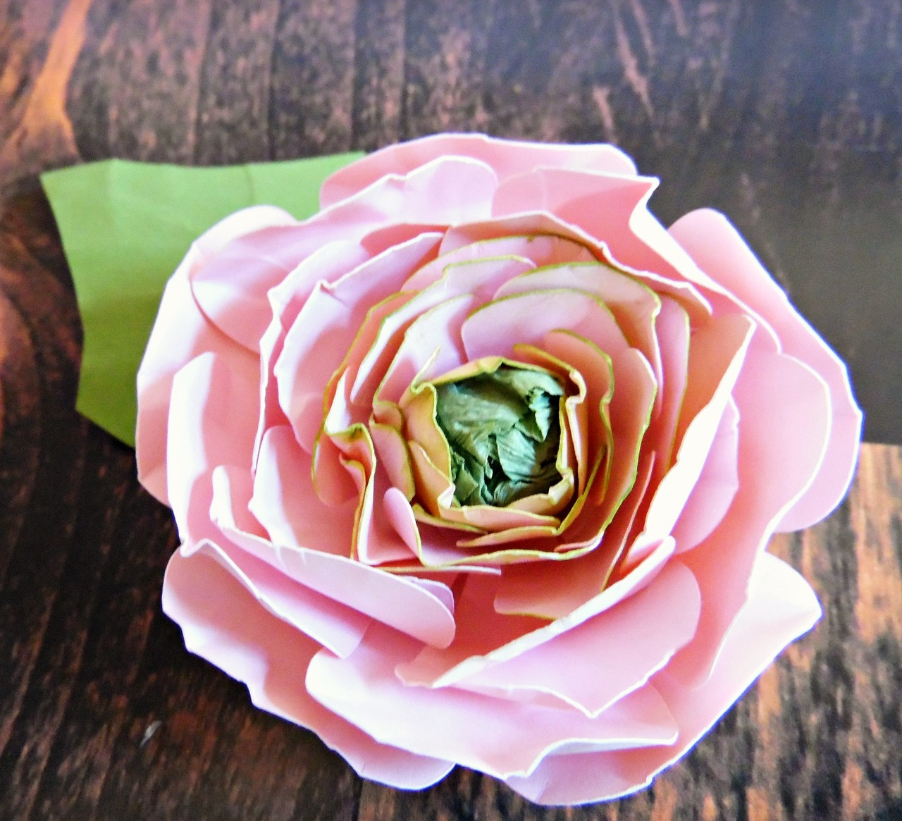 Ranunculus Paper Flower Templates - Catching Colorflies
