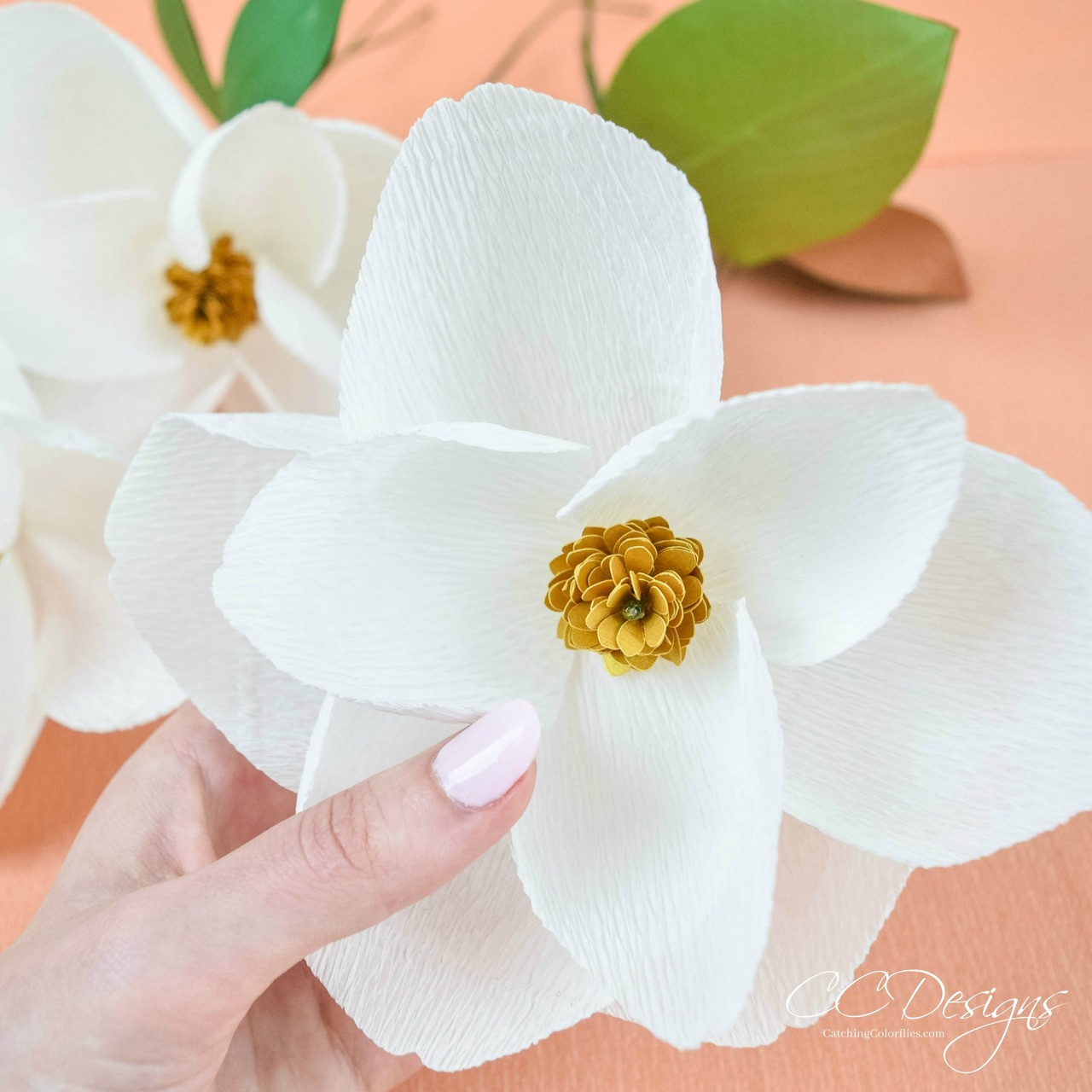 Magnolia Paper Flower Template - Catching Colorflies