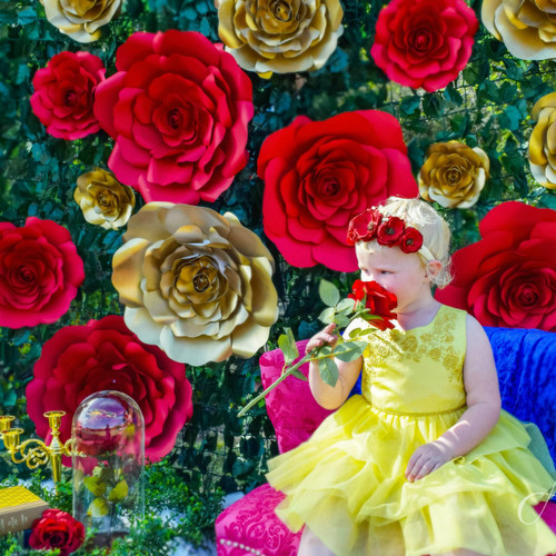 DIY Giant Rose Template Set with Vines - Catching Colorflies