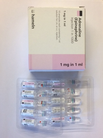 PH6005 - ANAPHYLACTIC KIT (NS) REPLACEMENT ADRENALIN 1ML X 10 (NS ...