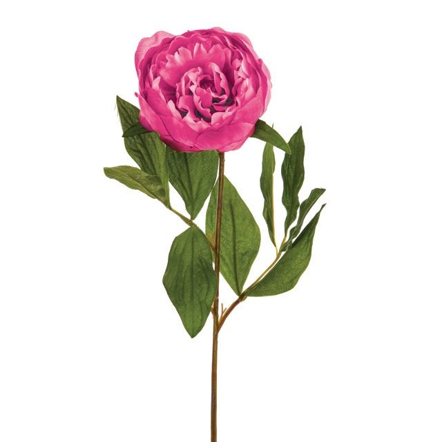 Peony Stem Pale Pink - CB Imports