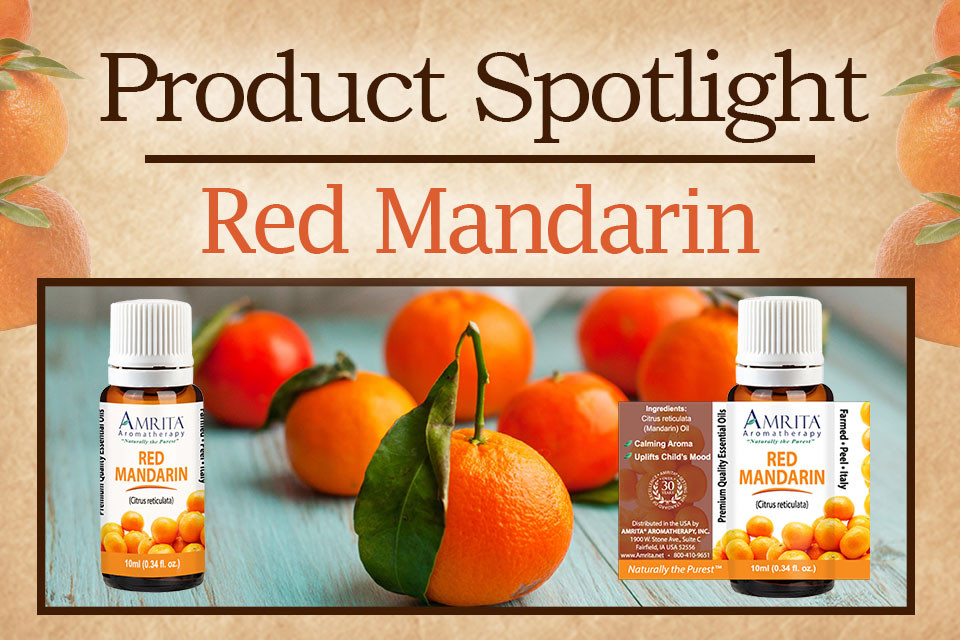 Product Spotlight: Red Mandarin - Amrita Aromatherapy | Amrita Aromatherapy