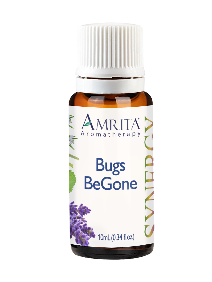 Bugs BeGone Synergy Blend | Amrita Aromatherapy