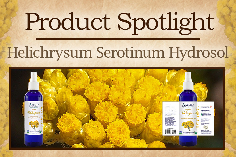 New Product Spotlight: Helichrysum Serotinum Hydrosol - Amrita ...