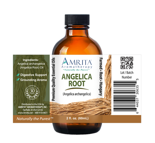 Angelica Root Essential Oil | Amrita Aromatherapy