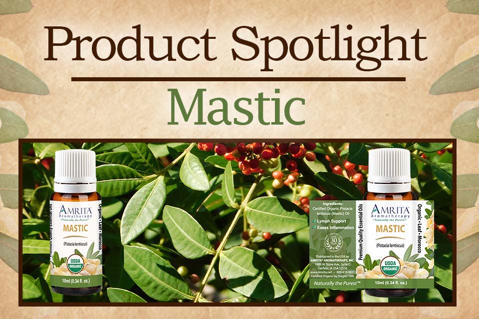 Product Spotlight: Mastic - Amrita Aromatherapy | Amrita Aromatherapy