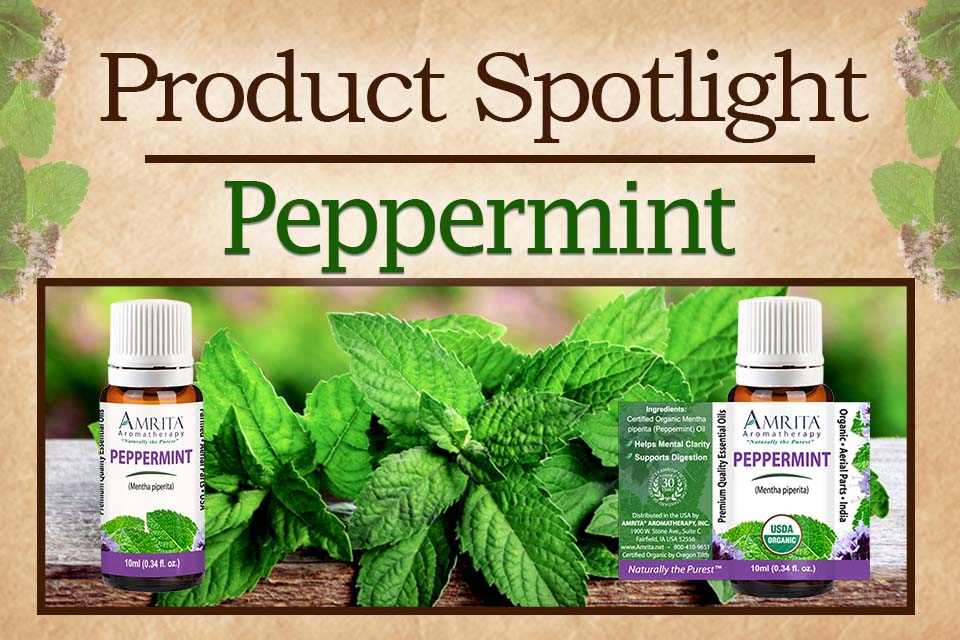 Product Spotlight: Peppermint - Amrita Aromatherapy | Amrita Aromatherapy