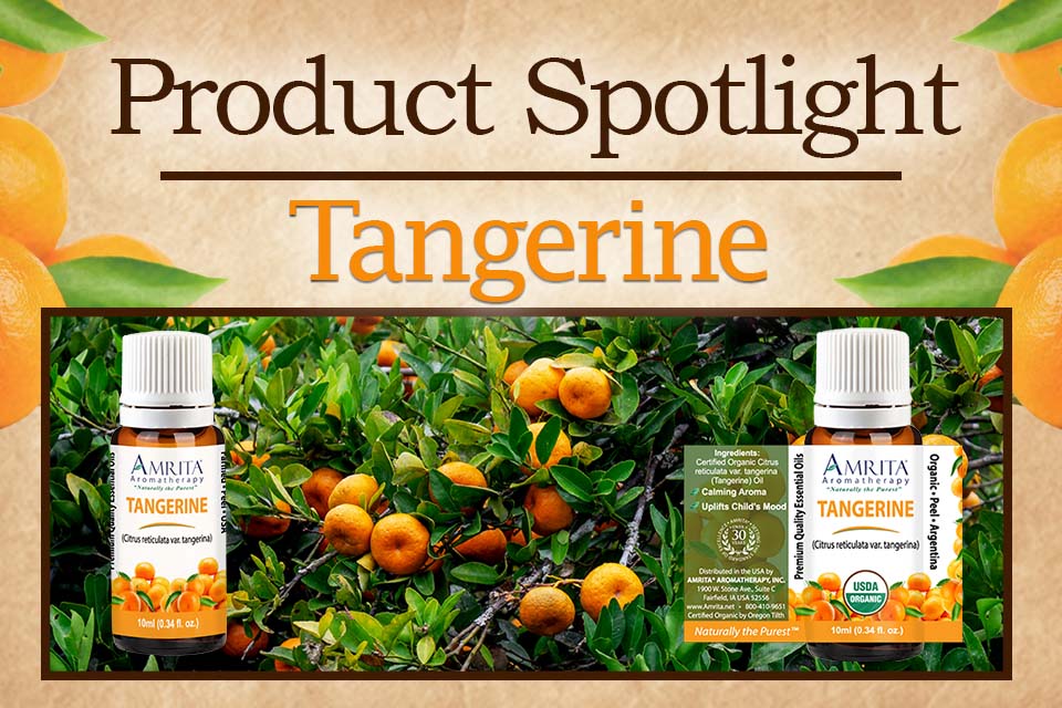 Product Spotlight: Tangerine - Amrita Aromatherapy | Amrita Aromatherapy