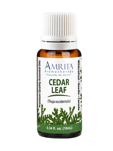 Cedar Leaf Essential Oil | Amrita Aromatherapy