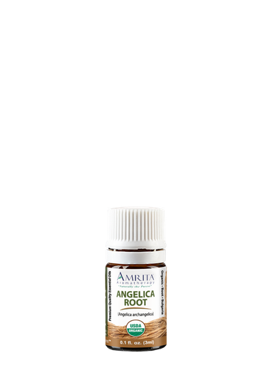 Angelica Root Organic Essential Oil | Amrita Aromatherapy