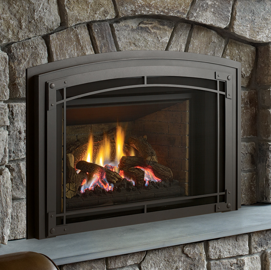 Regency LRI6E Large Gas Burning Insert - Rocky Mountain Stove & Fireplace