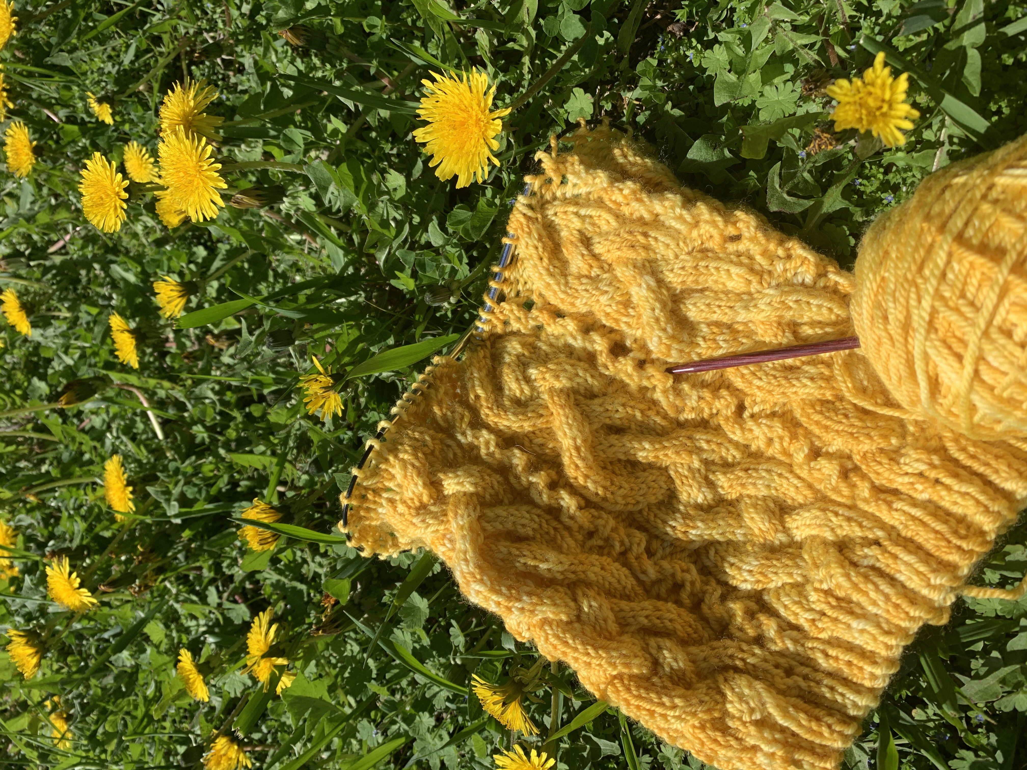 Dandelion Knitting - The Twisted Purl Yarn Studio
