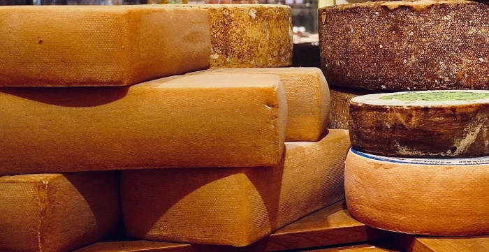 Cheese Please! - The Twisted Purl Yarn Studio