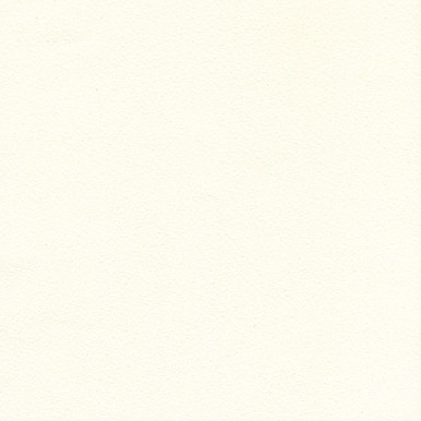 Arches Text Wove Paper (half sheet) - John Neal Books