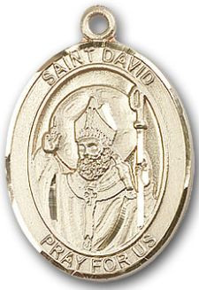 14 Karat Oval Medal-Size Small-5/8"-St. David - F.C. Ziegler Company