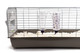 Lixit Pet Supplies