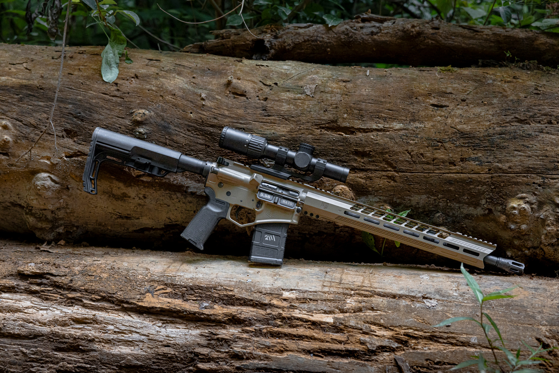 Moondog 2A - Monstrum Banshee vs SIG Tango MSR: Budget vs Big Brand ...