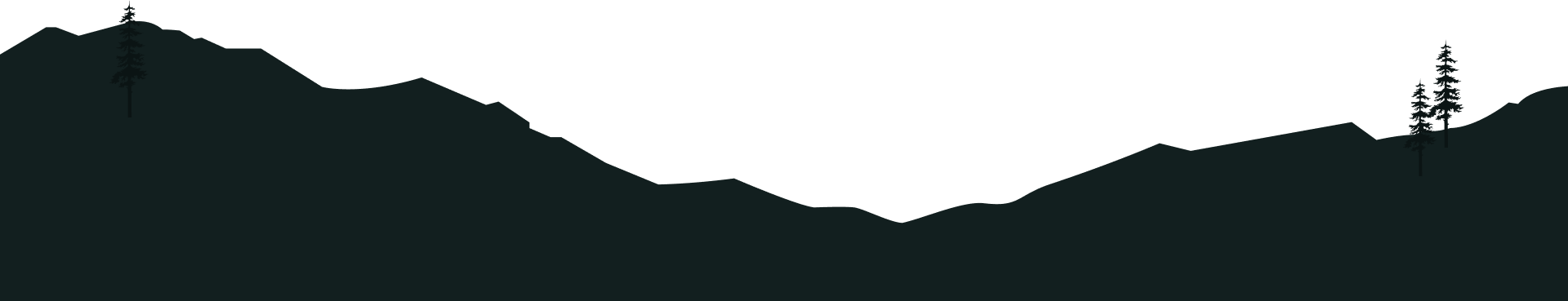 30mm Slim Profile Series Offset Picatinny Scope Mount w/Quick Release