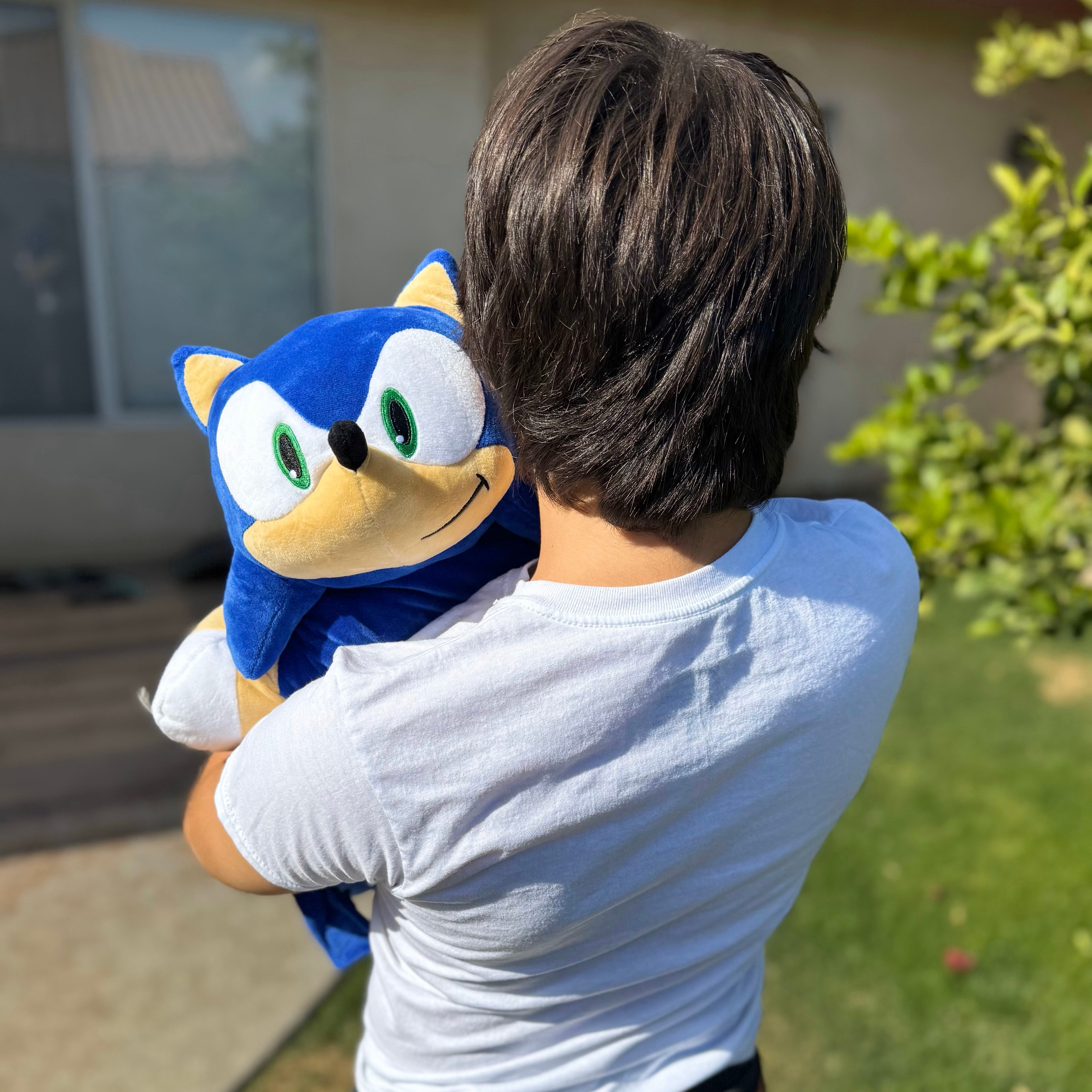 Official SEGA Sonic the Hedgehog Pillow Pet - A classic & collectible ...