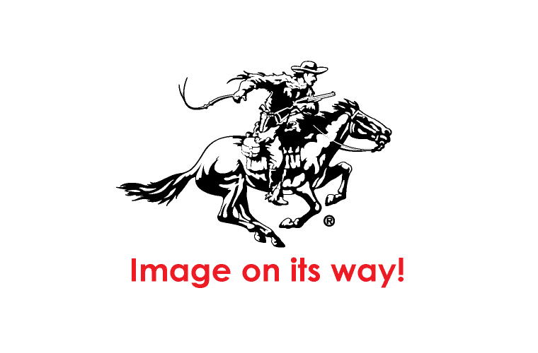 Browning B25 Main Spring Guide - B1333296 | Gun Parts | Browning B25 ...