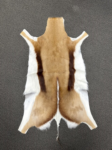 SPRINGBUCK FULL SKIN HIDE RUG - Safari Firearms